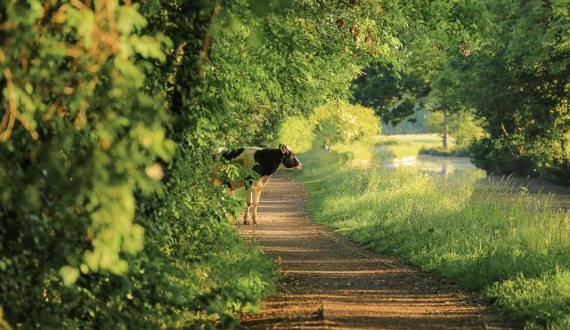 Barlaston | World of Wedgwood